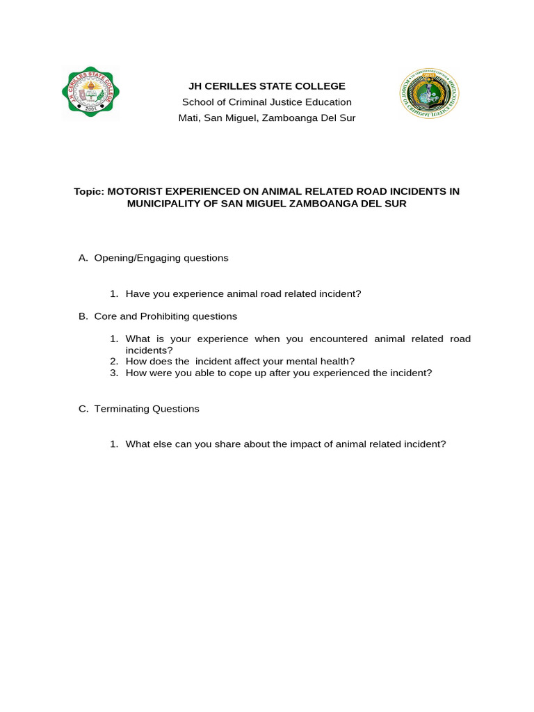 Interview Guide | PDF