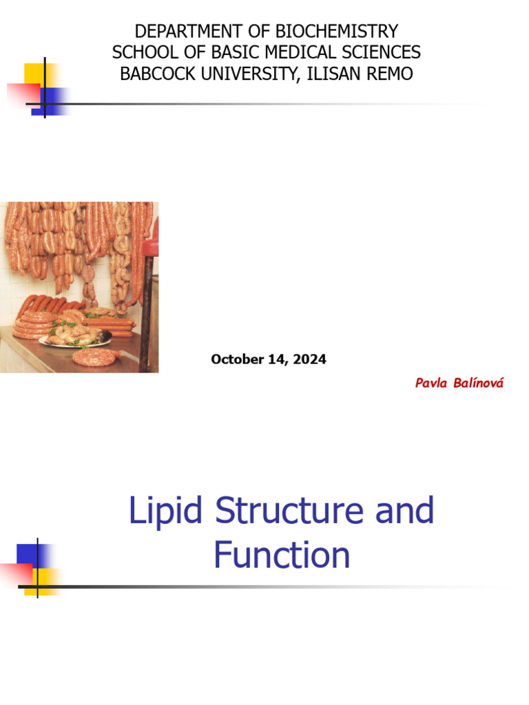 Lipid Structure & Functions Overview | PDF | Lipid | Fatty Acid