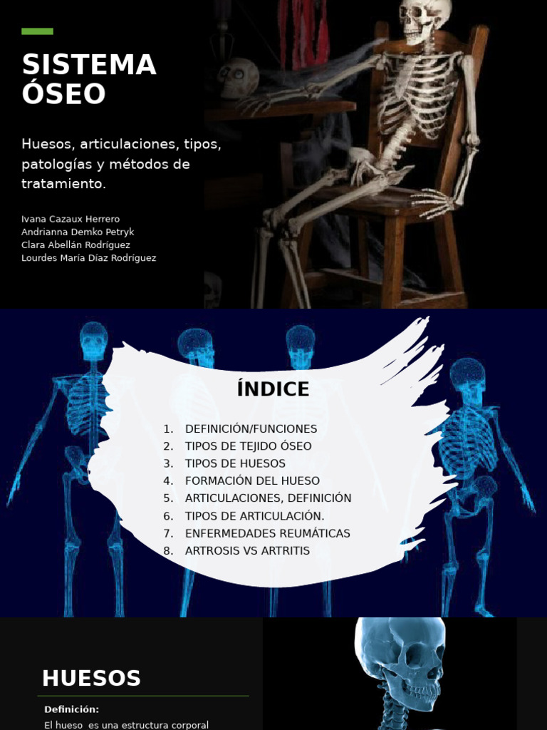 Sistema Óseo: Huesos y Patologías | PDF | Articulación | Hueso