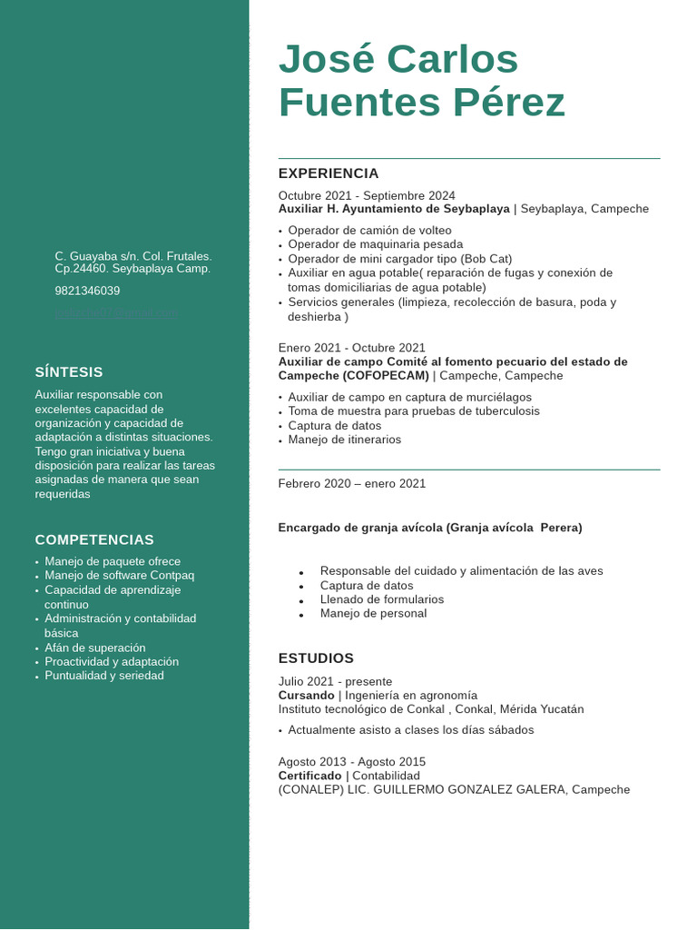 CV 1 | PDF