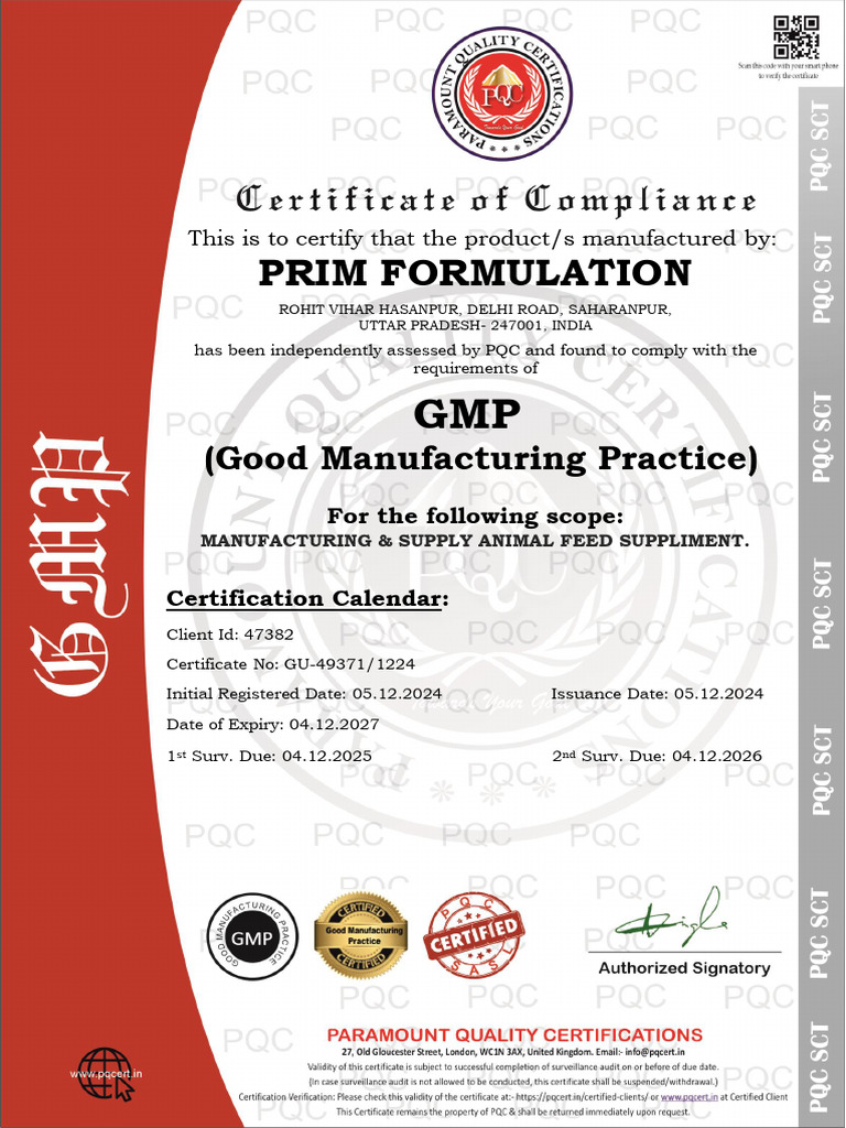 Prim Formulation - GMP - PQC | PDF