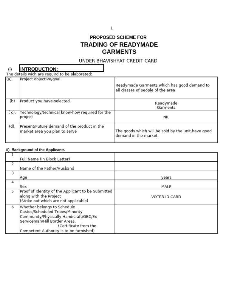Trading Readymade Garments Project Plan | PDF | Expense | Capital ...