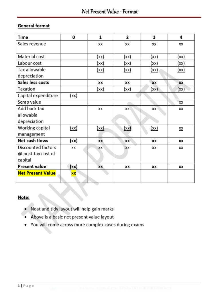 Net Present Value Format Guide | PDF