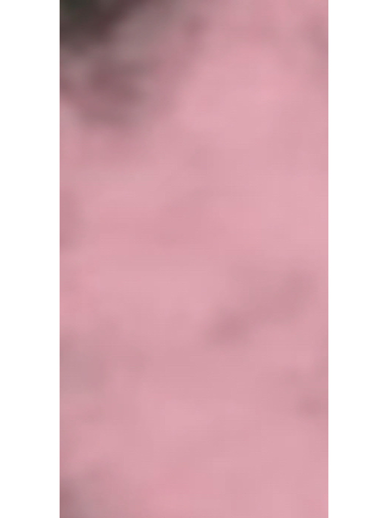 Luna Lola, The Moon Wolf | PDF