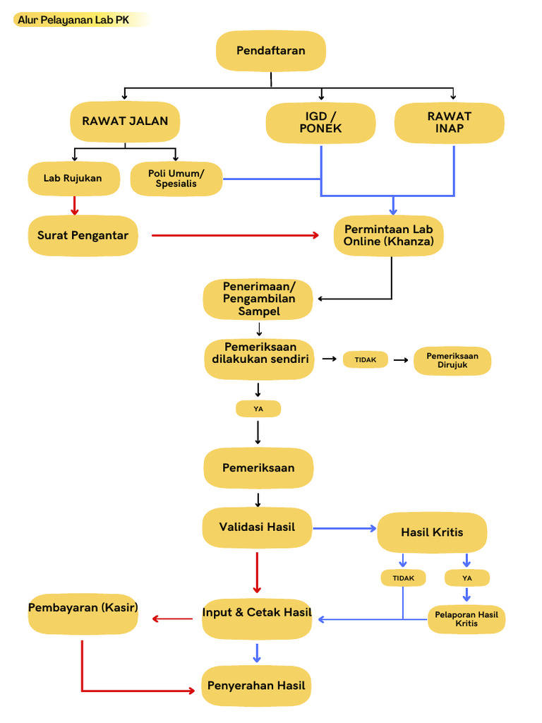 Alur Pelayanan Lab | PDF