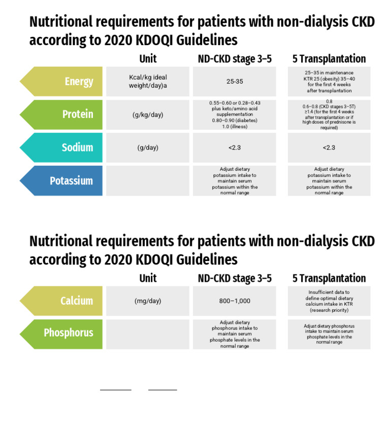 2020 Kdoqi Guidelines For Nutrition 1735634171 | PDF | Chronic Kidney ...