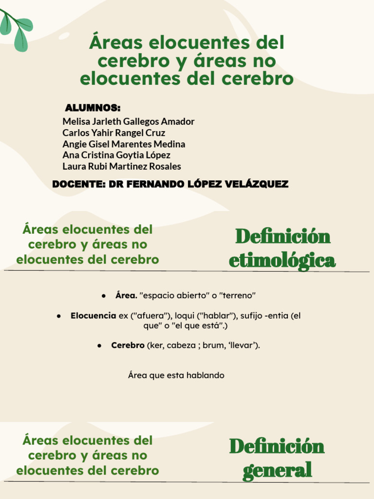 Áreas Elocuentes y No Elocuentes del Cerebro | PDF | Cerebro | Ganglios ...