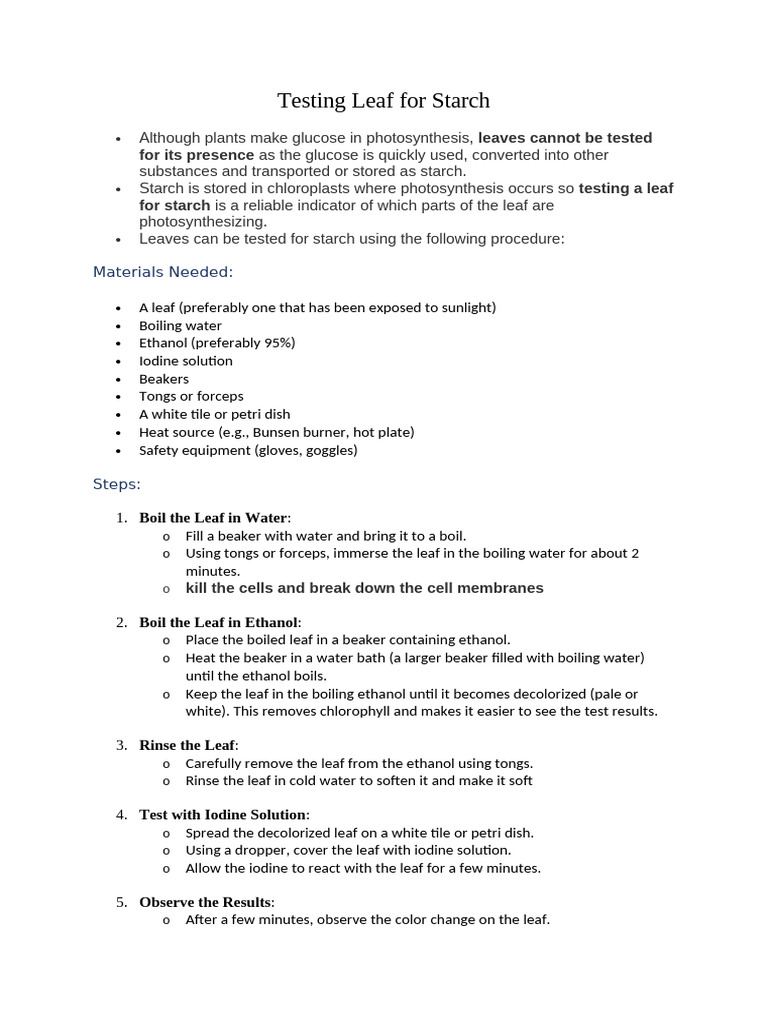 Starch Testing Procedure for Leaves | PDF