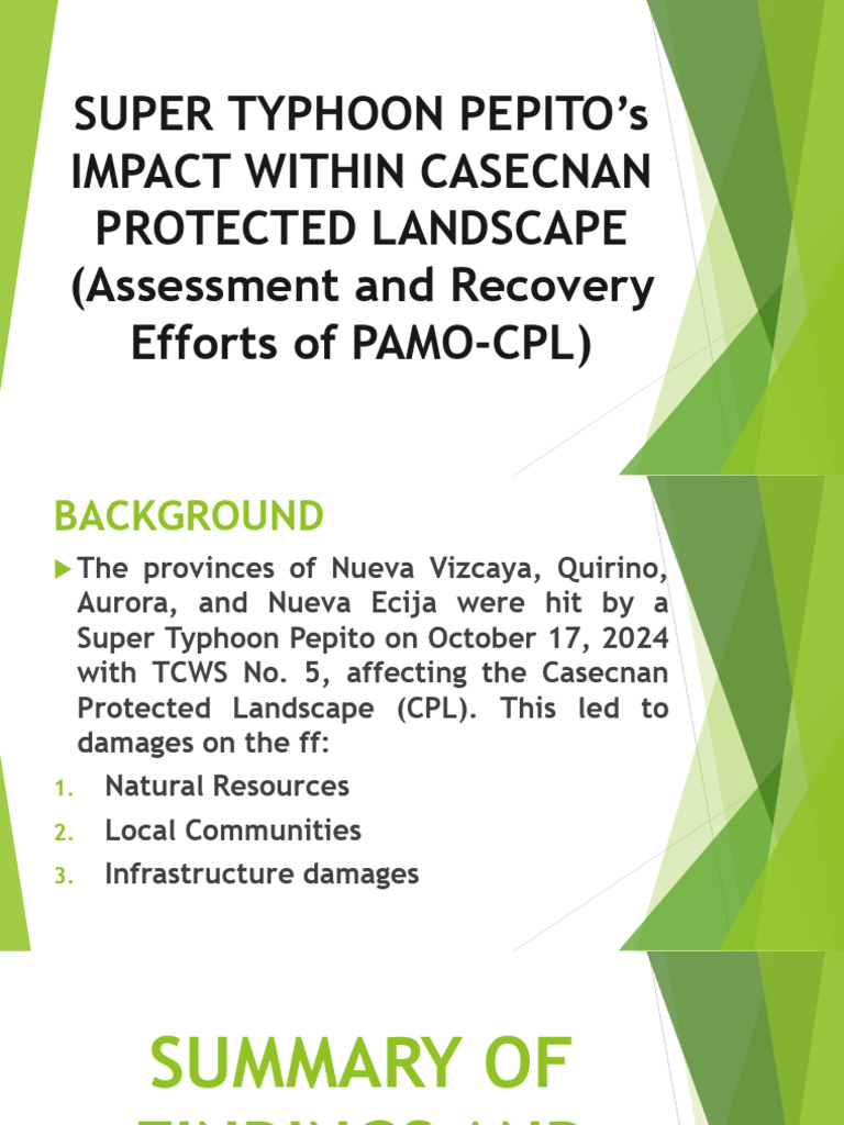 Sty Pepito | PDF | Trees