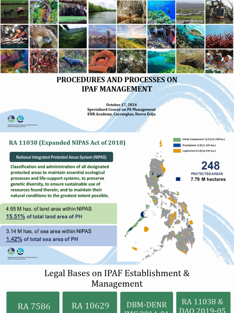 IPAF Management Procedures and Guidelines | PDF