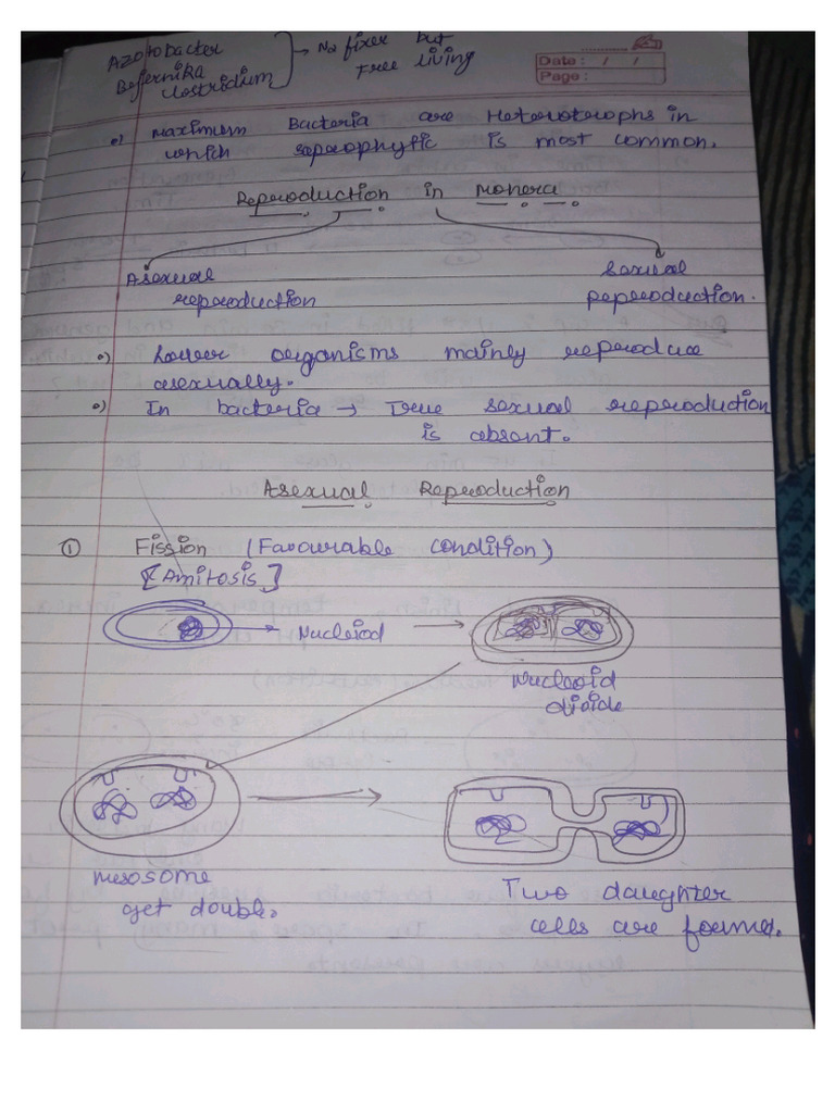 PDFGallery 20250108 121904 | PDF