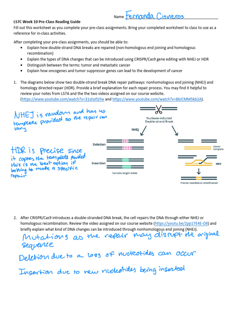 LS7C+Week+10+Pre-Class+Reading+Guide | PDF | Cancer | Dna Repair LS7C+Week+10+Pre-Class+Reading+Guide | PDF | Cancer | Dna Repair