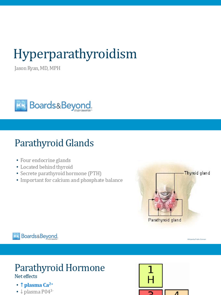 Hyperparathyroidism Atf | PDF | Parathyroid Gland | Endocrine System
