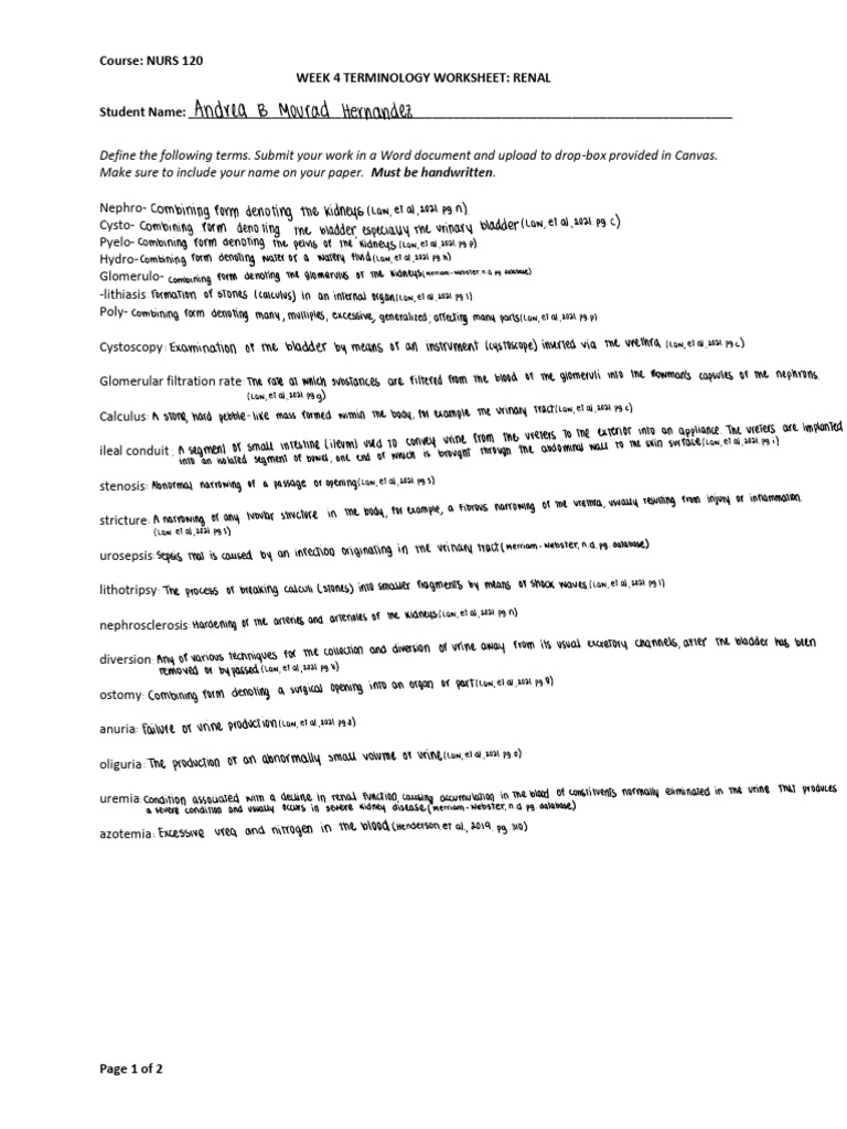 NURS 120 - Terminology Worksheet Week 4 Final | PDF | Abdomen | Urinary ...