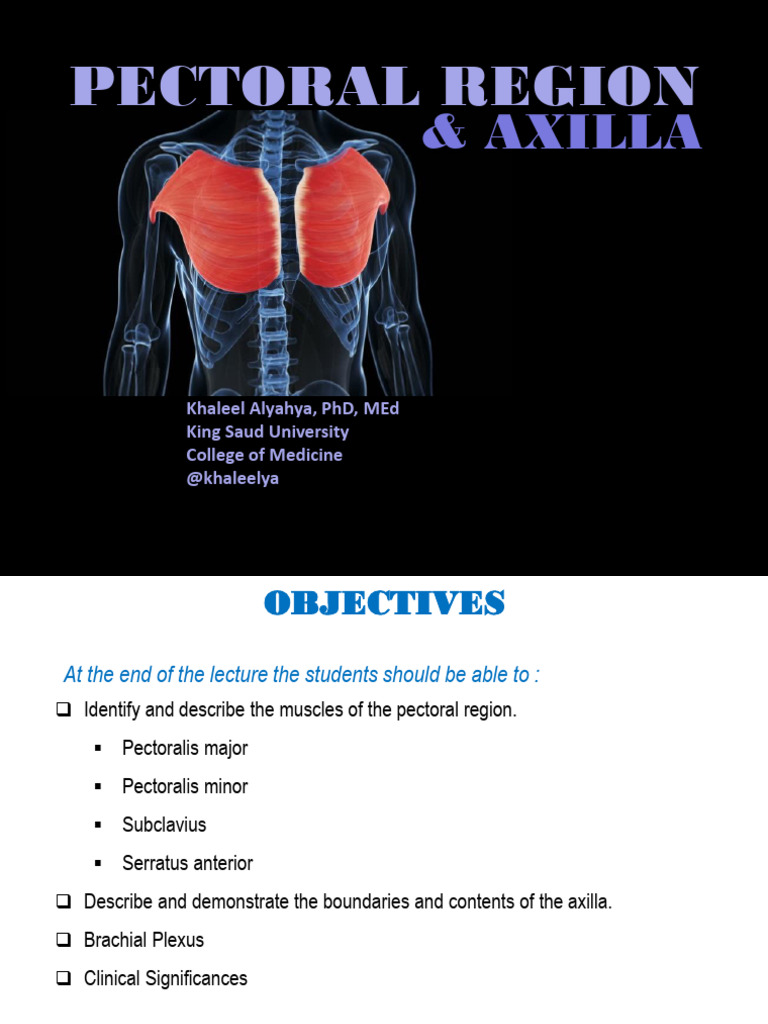 L5) Pectoral Region and Axilla | PDF | Arm | Thorax