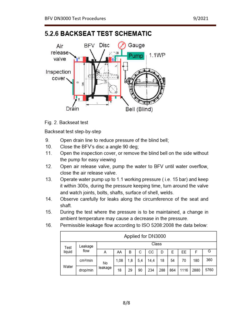 BFV DN3000 Testing Guide | PDF
