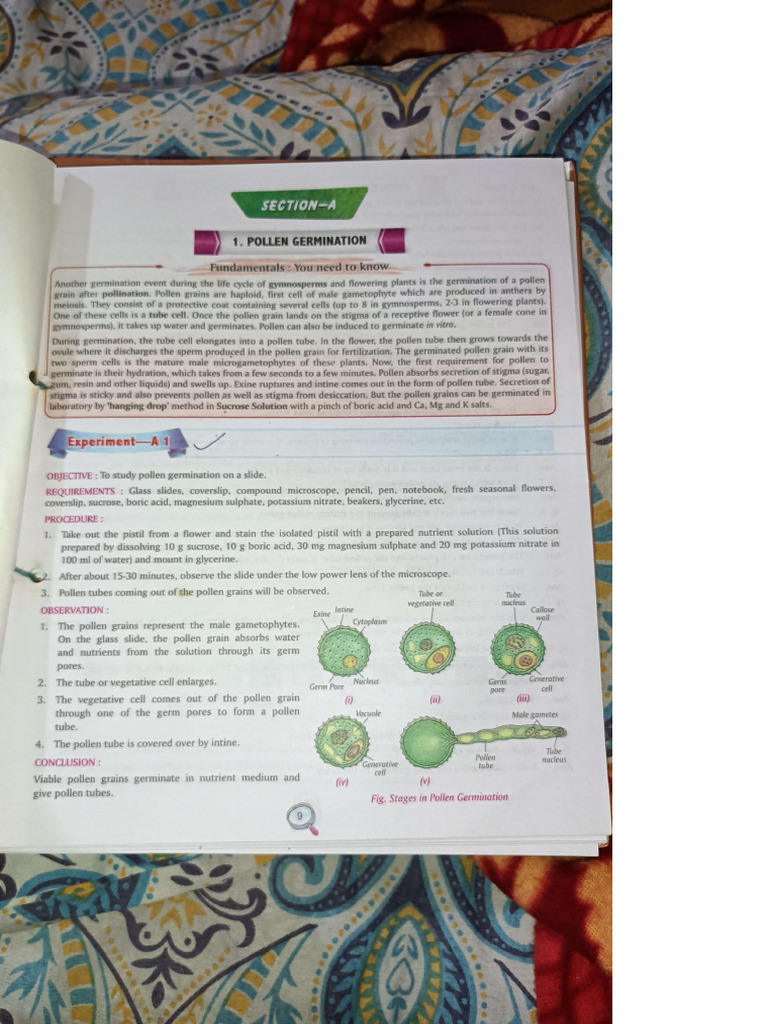 Bio Practical | PDF