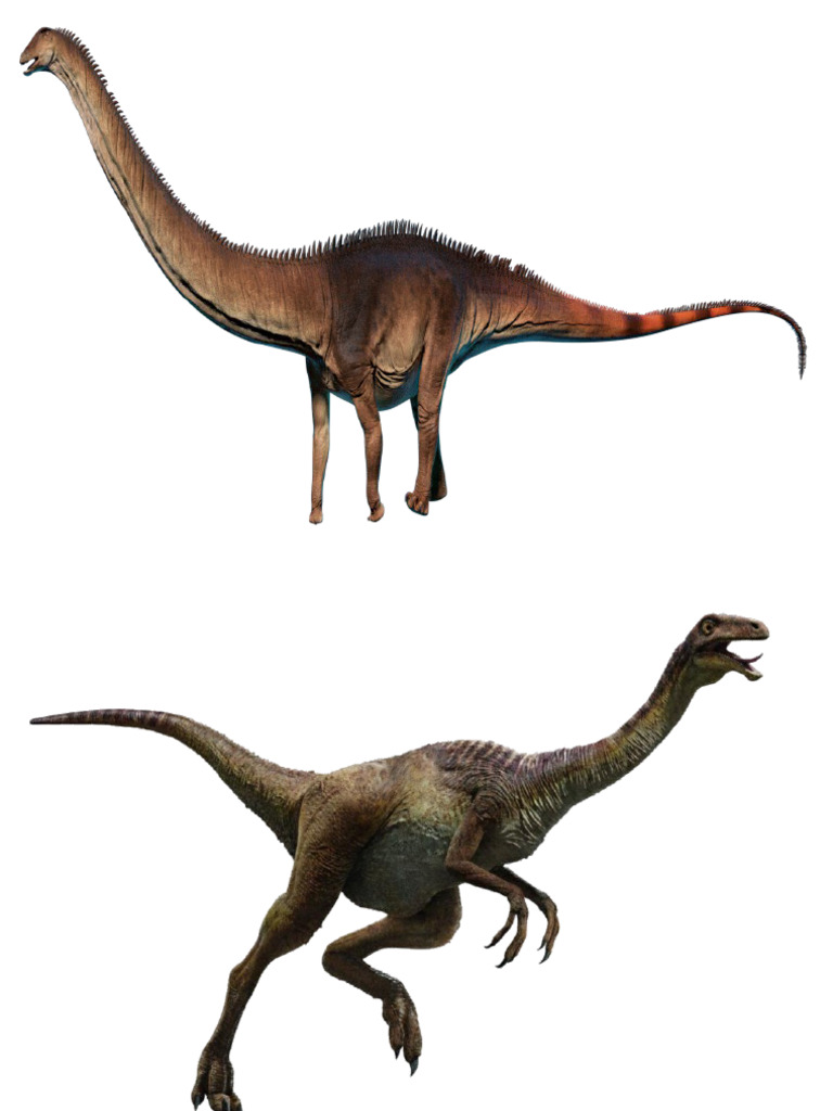 Dinos | PDF