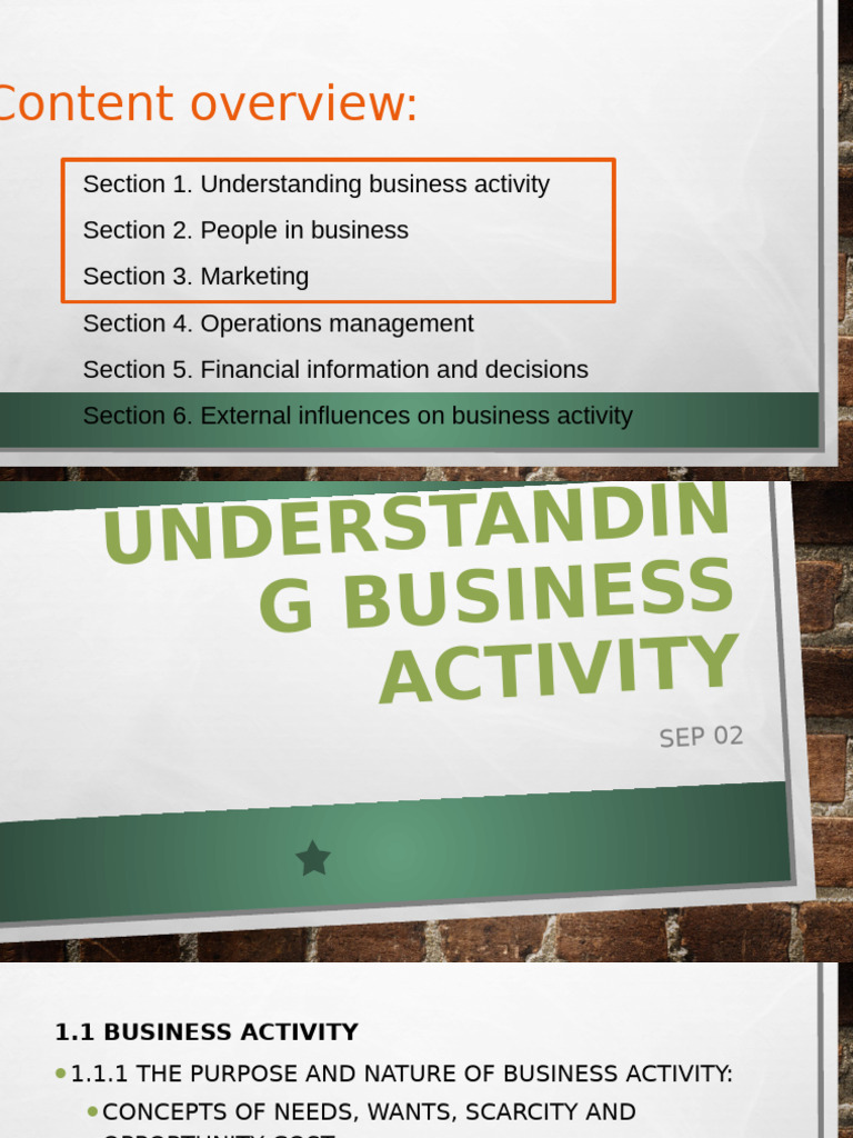 1.-Business-activity | PDF | Prices | Opportunity Cost