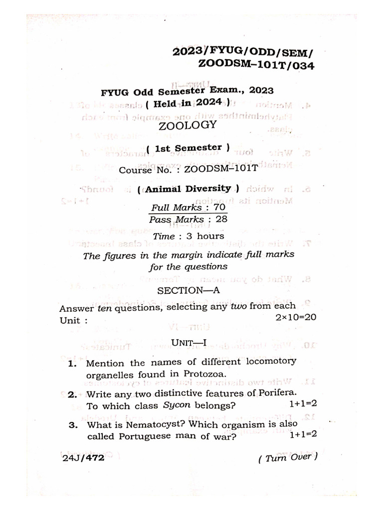 Fyug DSM Zoo 101 | PDF