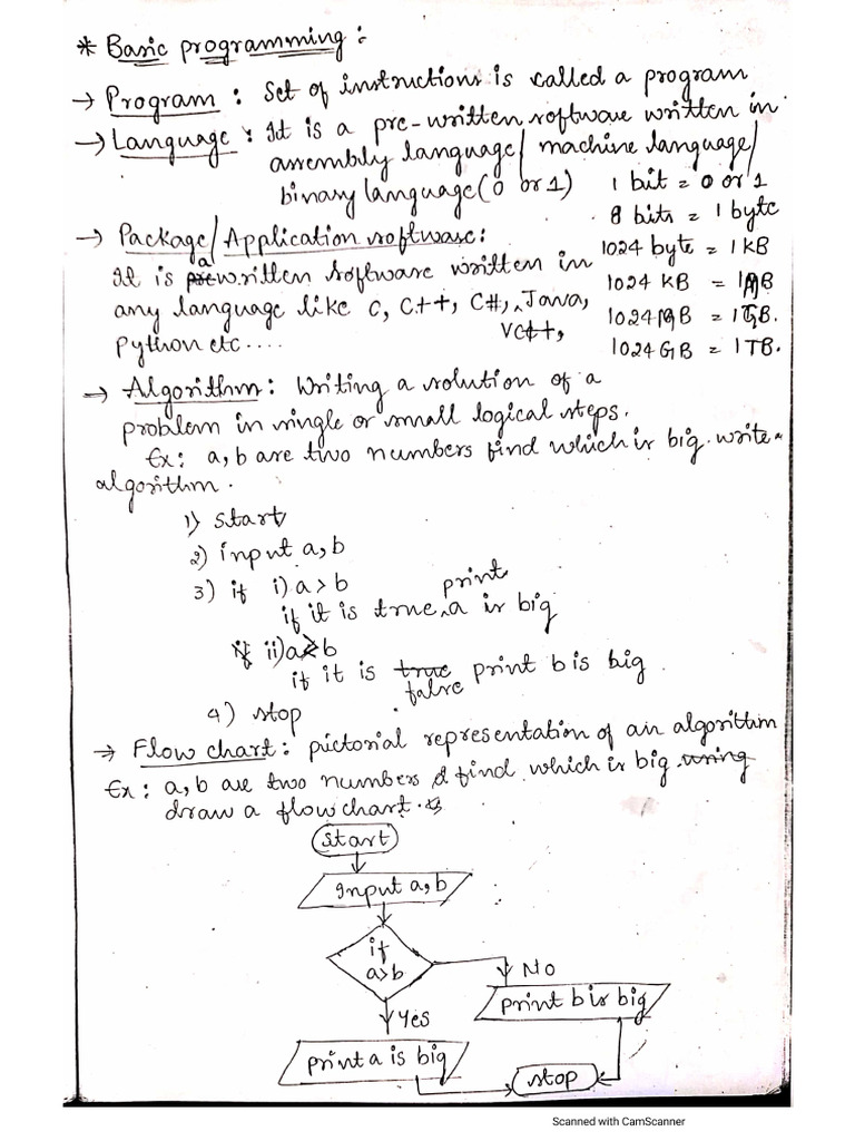 c Language Notes | PDF
