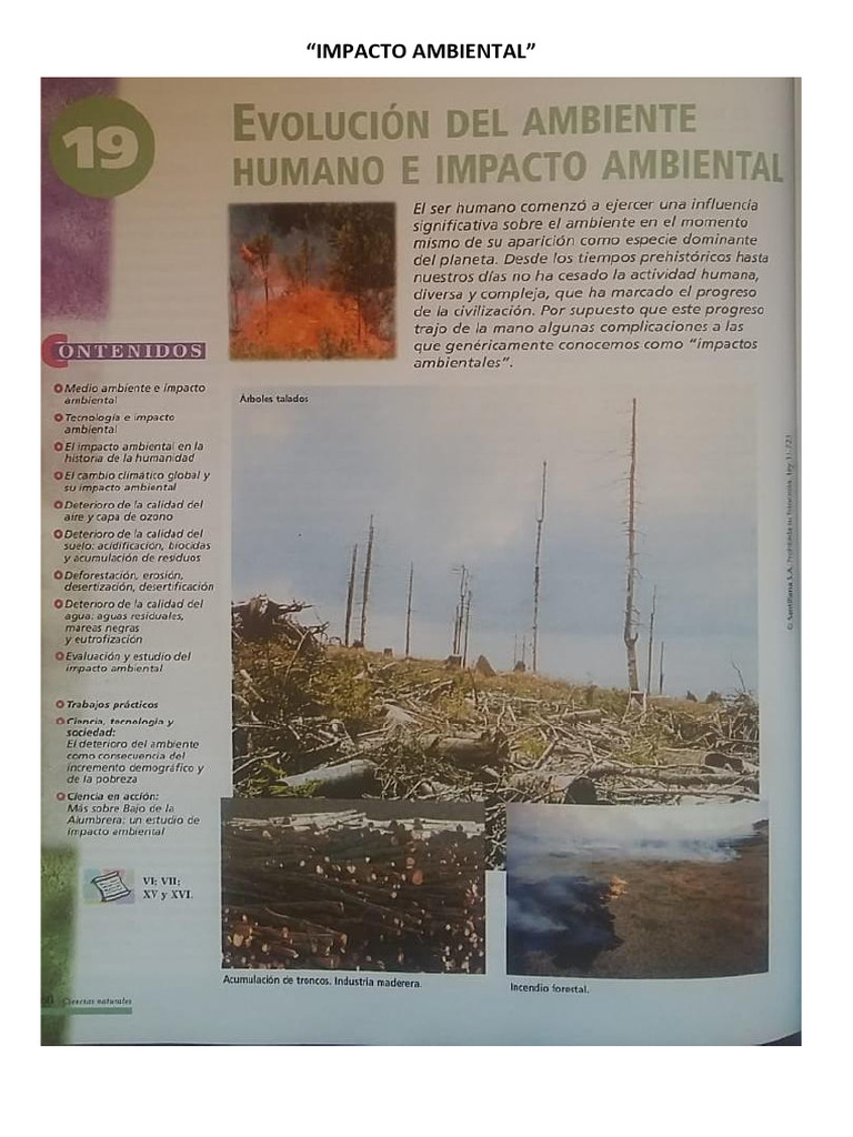 Impacto Ambiental | PDF