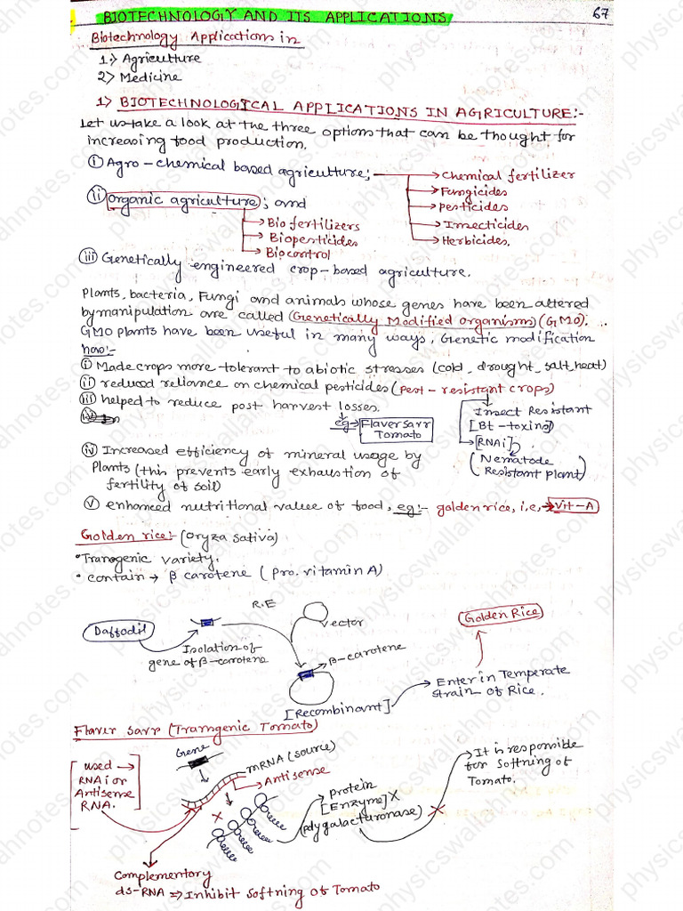 Biotechnology and It's Application | PDF