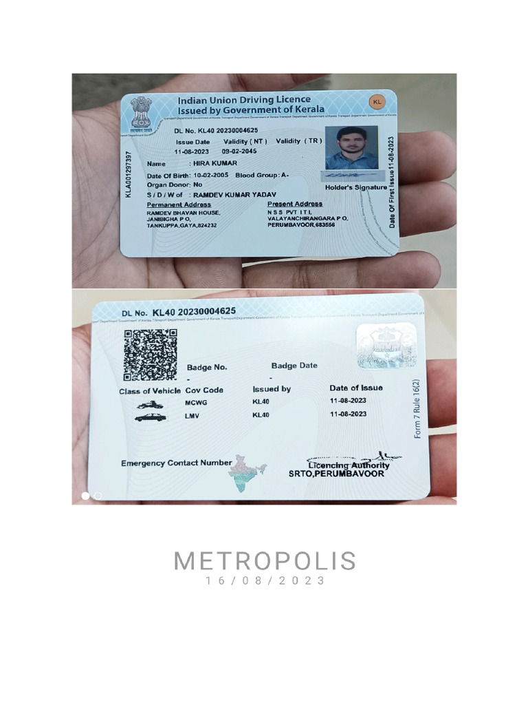 Driving Licence | PDF