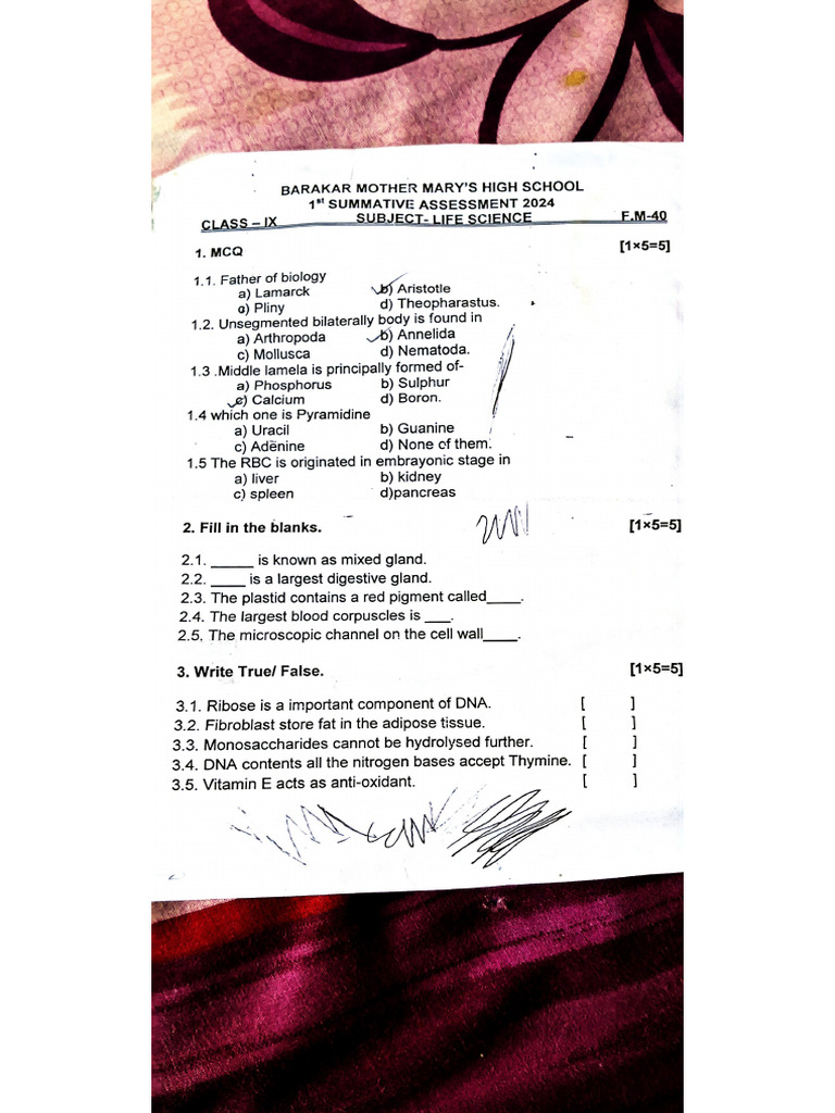 Wbbse Class Ix Life Science Question Paper 40 Marks | PDF