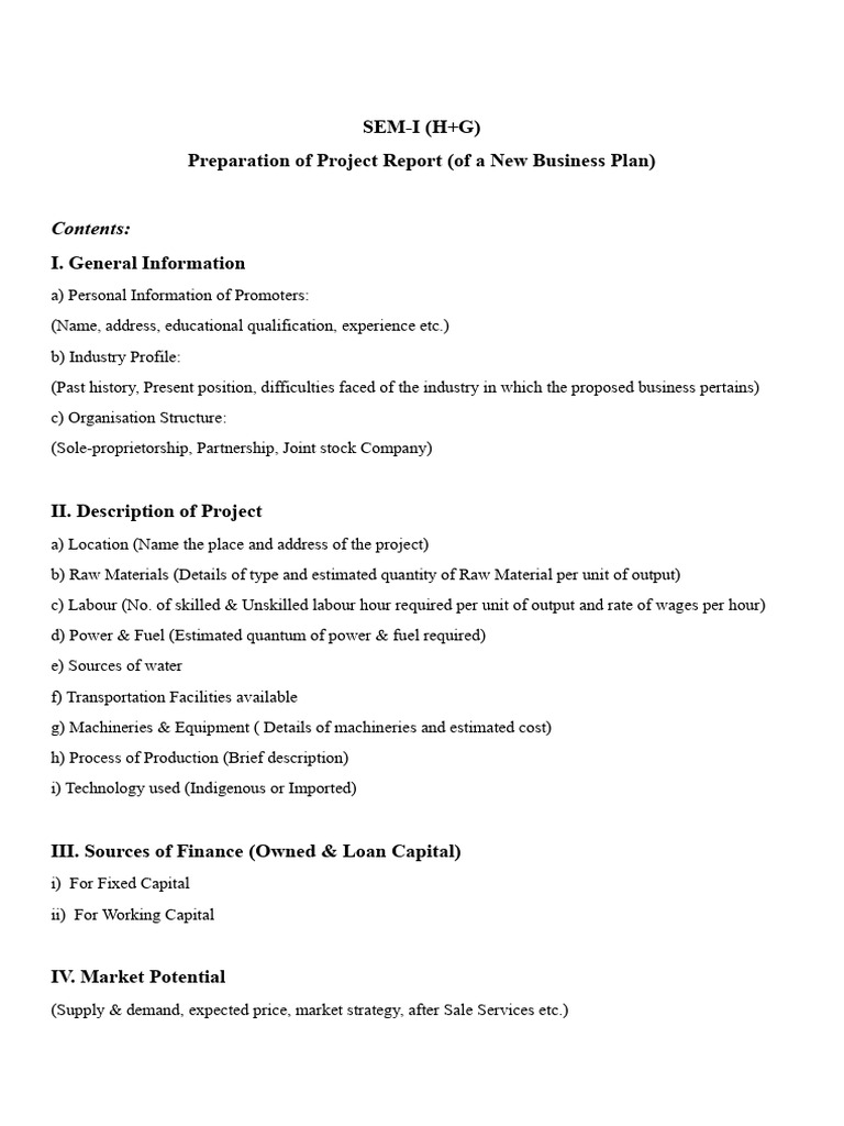 New Business Plan Project Report Guide | PDF