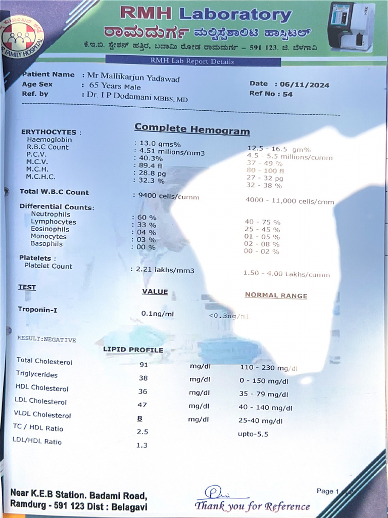Blood Report | PDF