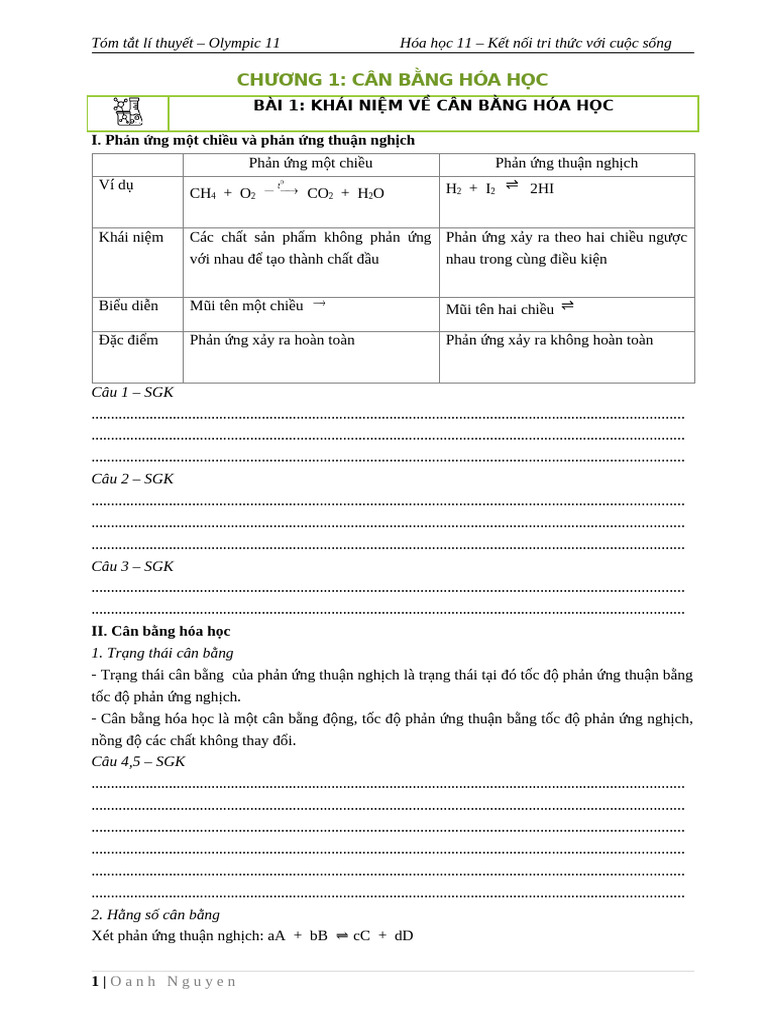 Tóm Tắt Lí Thuyết HKI - 11 | PDF