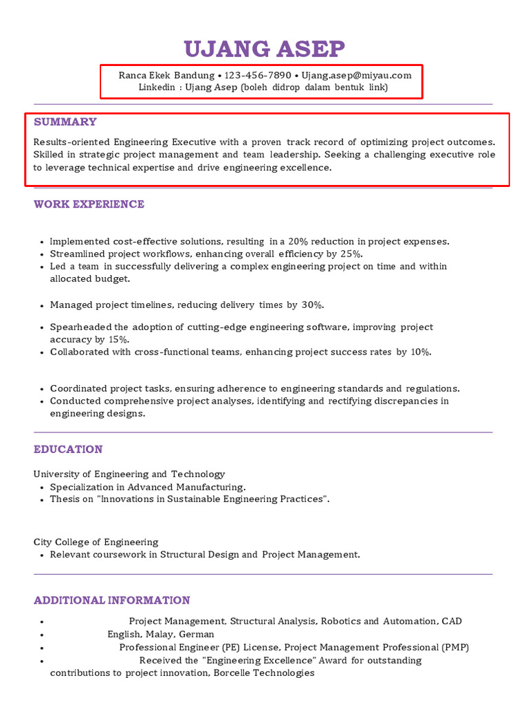 CV for Engineering Executive Role | PDF