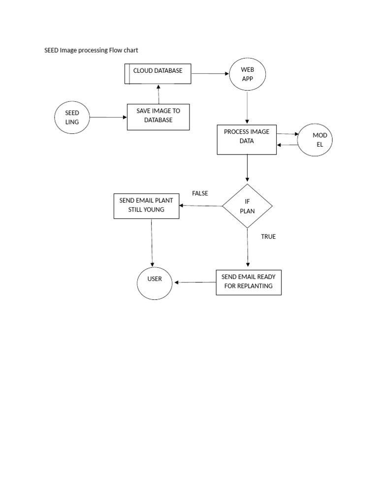 SEED Image Processing Flow Chart | PDF