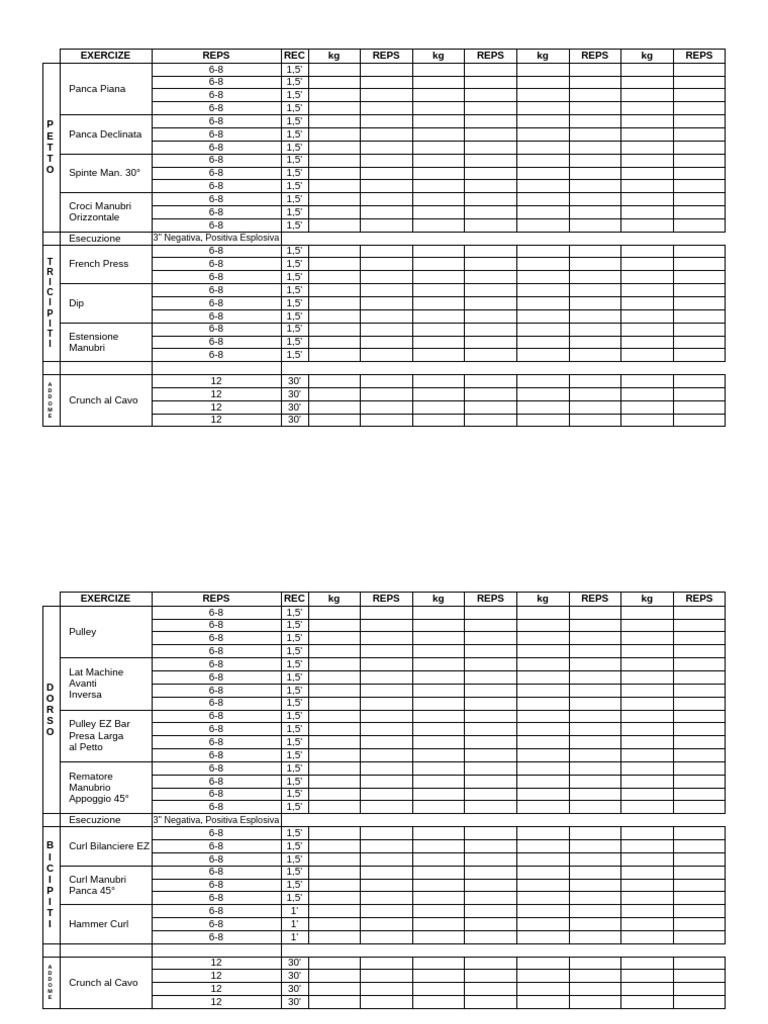 Workout Y3T Type Examples | PDF | Physical Fitness | Weight Training