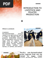 Introduction To Animal Production | PDF | Livestock | Poultry Farming