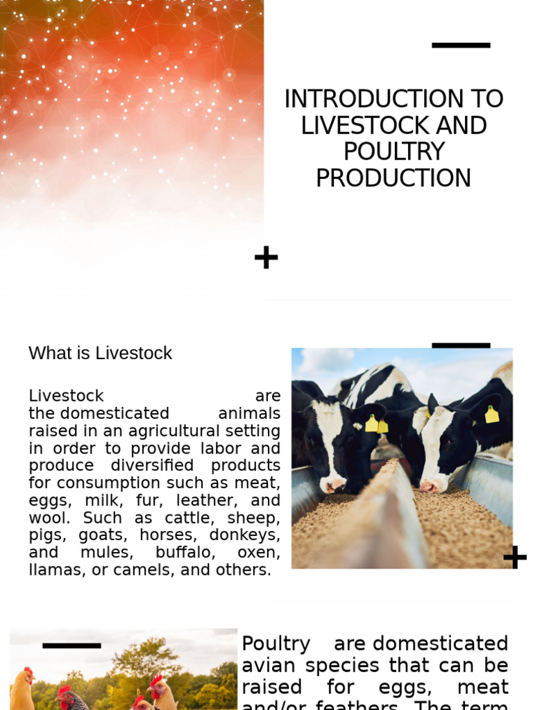Intro To Livestock & Poultry | PDF | Domesticated Animals