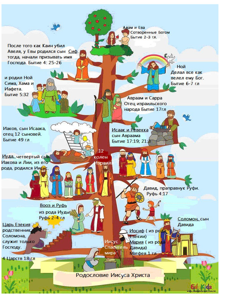 The Tree of Jesus's Family | PDF