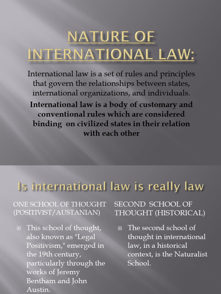Public International Law Notes | PDF | International Law | Treaty