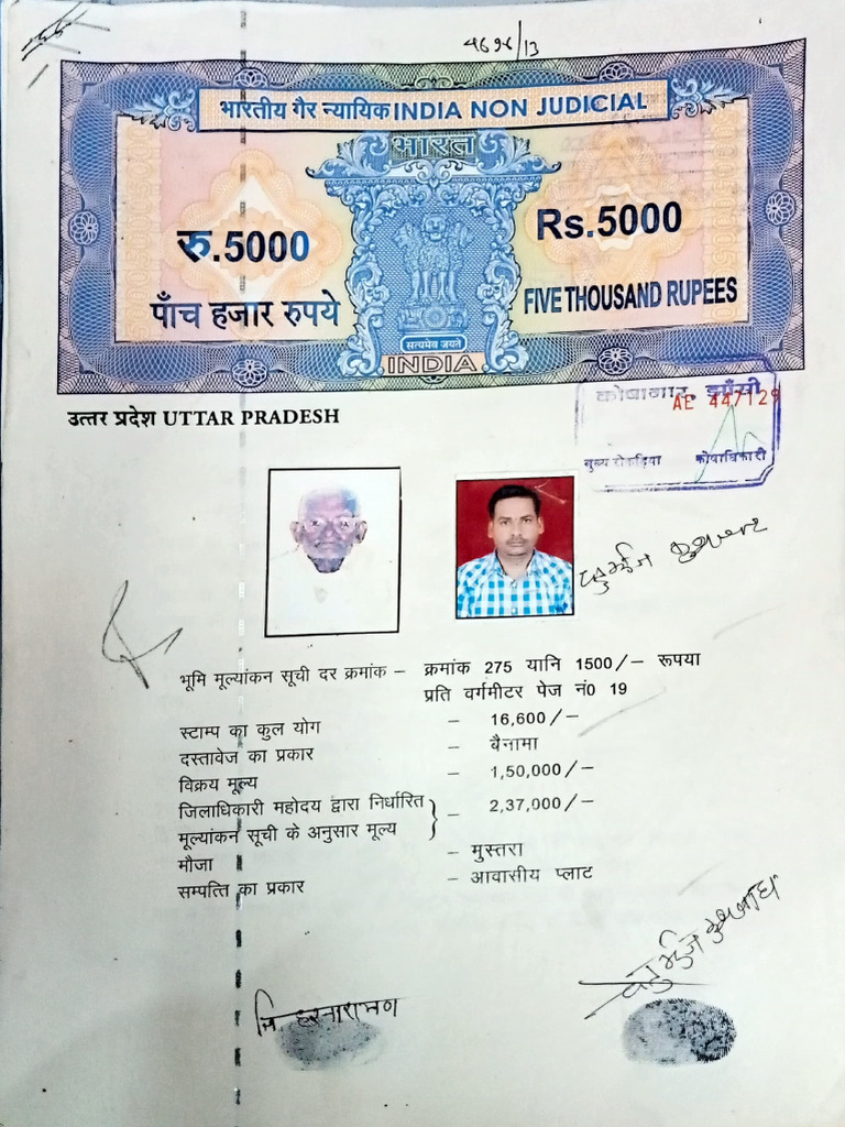 Mustra Plot Registry | PDF