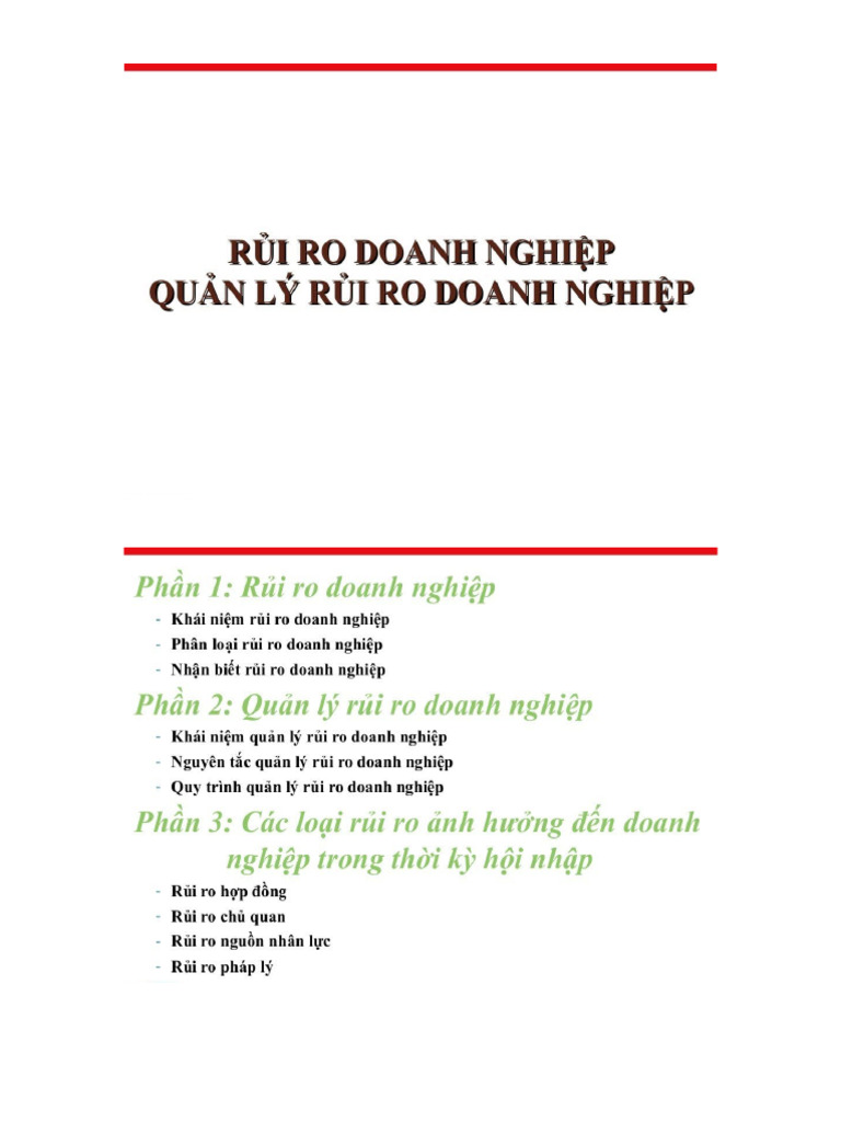 Quan Tri Rui Ro Trong Doanh Nghiep | PDF