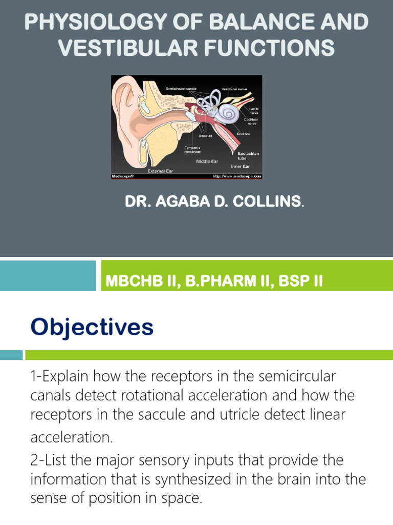 7. VESTIBULAR APPARATUS | PDF | Vestibular System | Senses