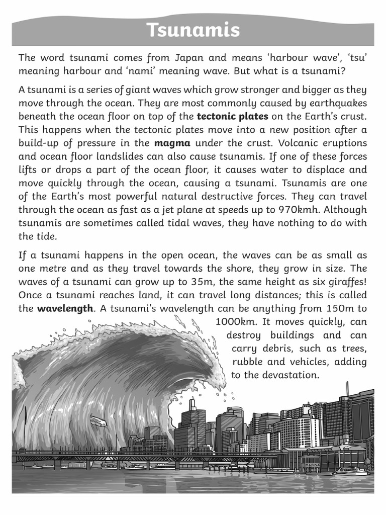 GRADE 6 TSUNAMI 1 | PDF