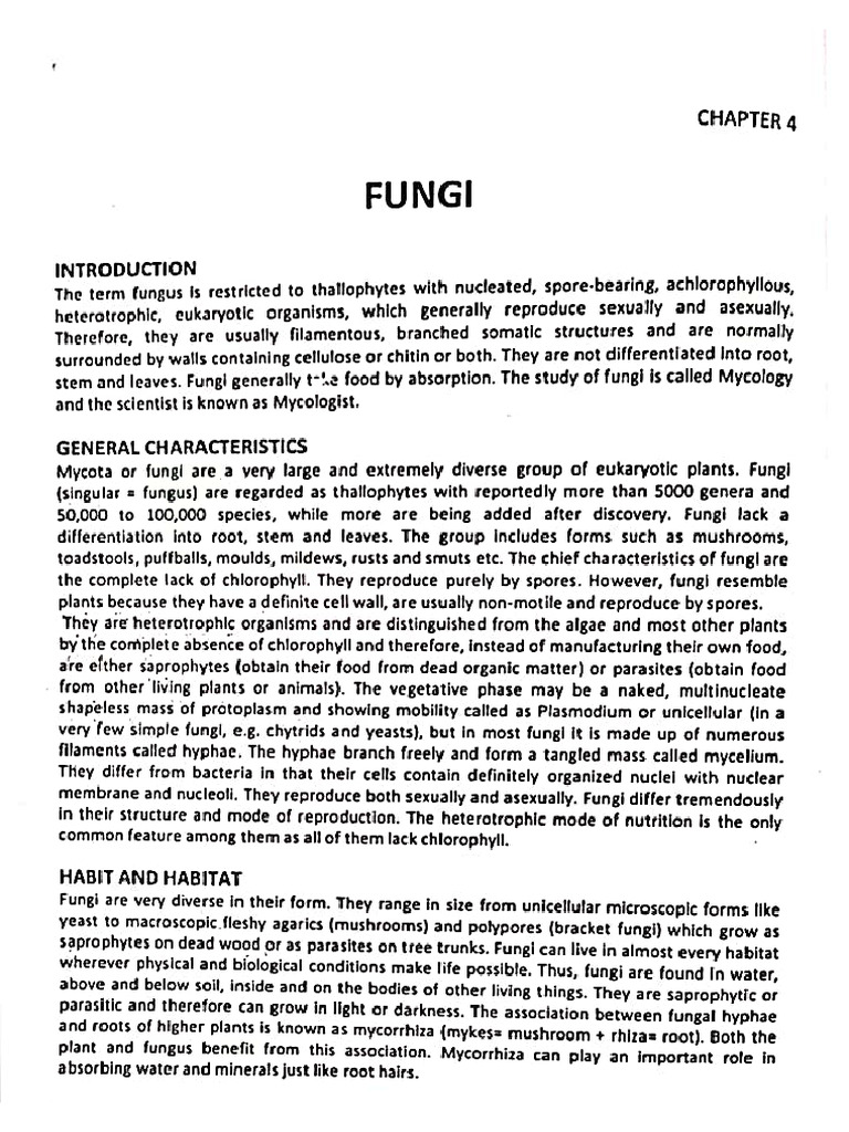 Fungi Detail | PDF