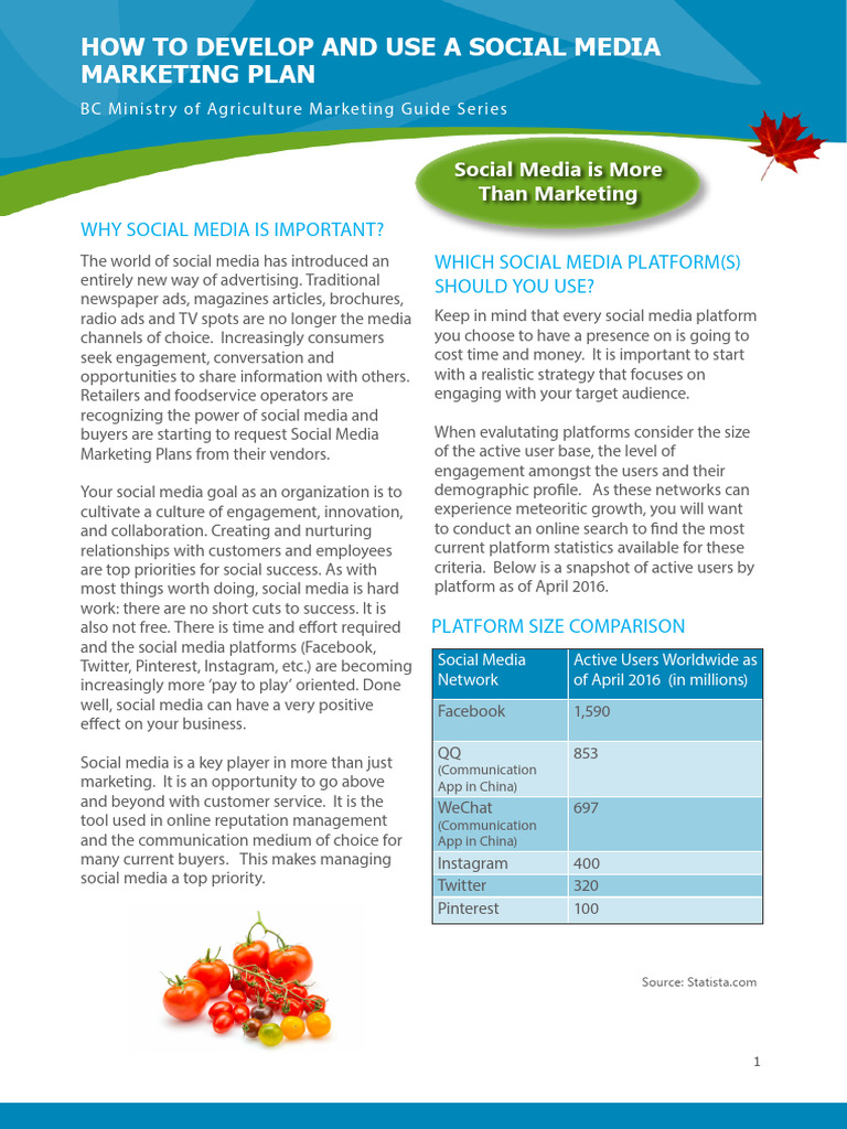 Social Media Marketing Plan Guide | PDF | Social Media | Popular ...