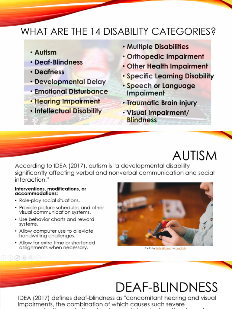14 Disability Categories | PDF