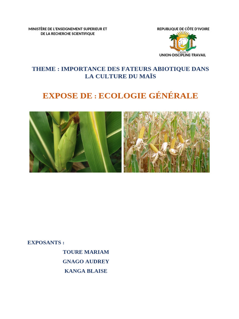 Importance des facteurs abiotiques du maïs | PDF | Maïs | Fertilisant