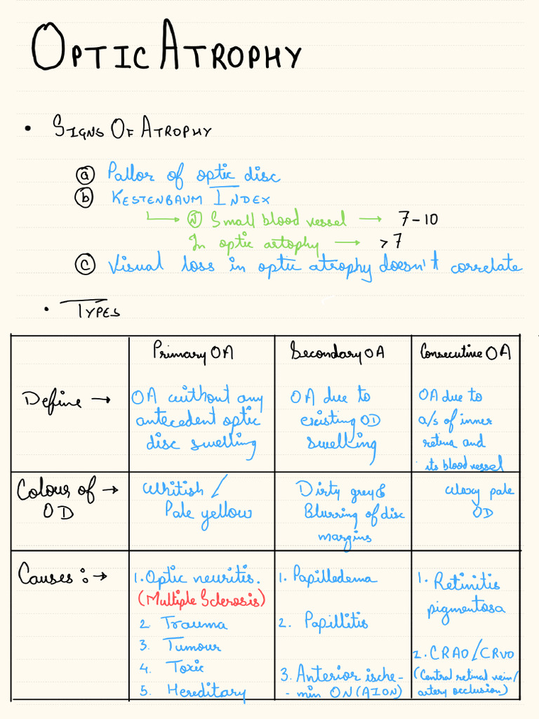 Neuro-ophtha 2 | PDF