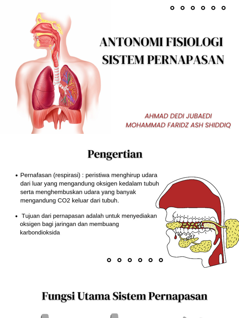 Ppt Antonomi Fisiologi Sistem Pernapasan.pdf | PDF
