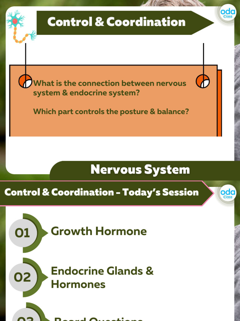 (Courseware) Biology - Endocrine Glands and Hormones | PDF | Thyroid | Adrenal Gland